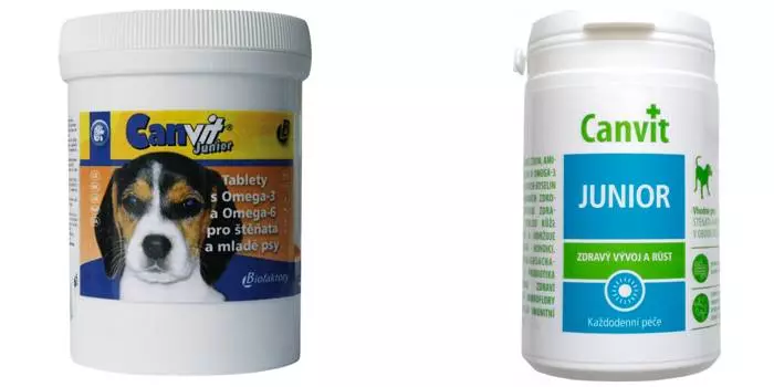 Vitaminoj Canvit Junior