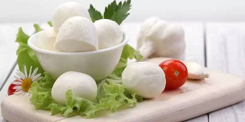 Chiiz Mozzarella