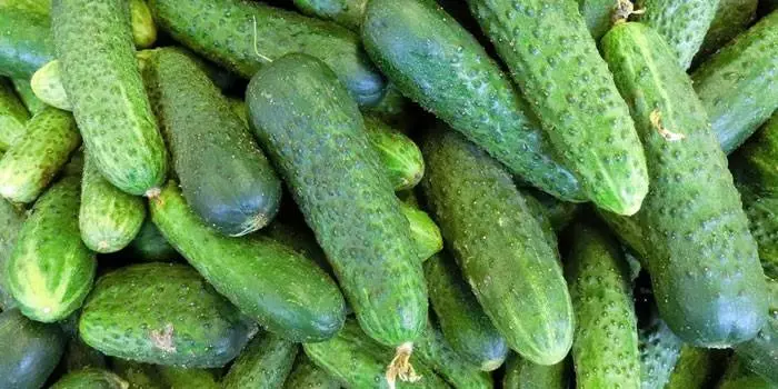 Cucumbers Glance