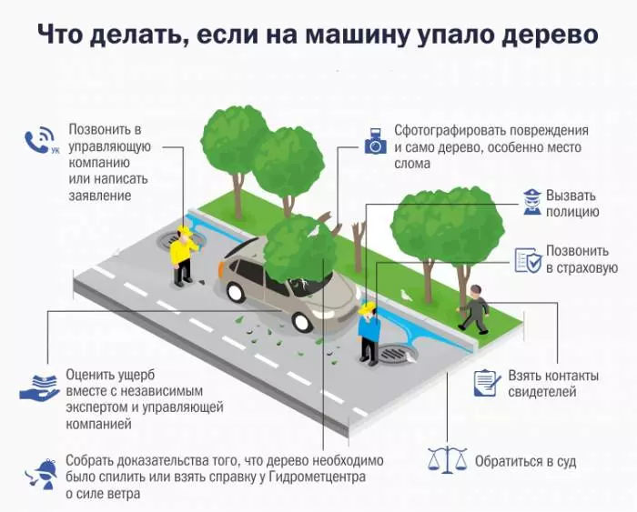 உங்கள் கார் மீது மரம் விழுந்தால் என்ன செய்வது