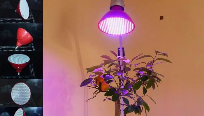 LED植物灯