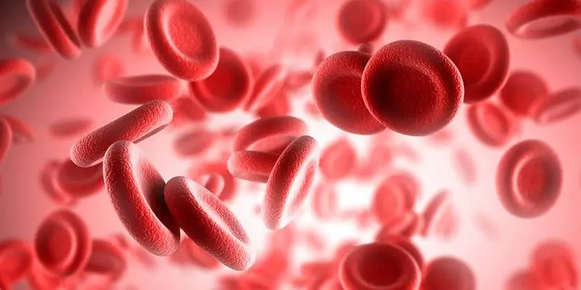 Kraujo ląstelės