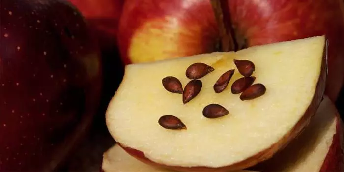 Apple seeds