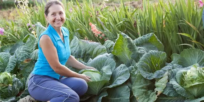 Woman and cabbage