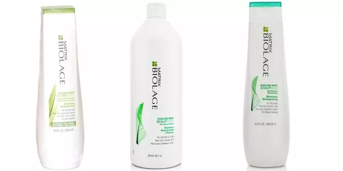 Biolage Scalpsync by Matrix