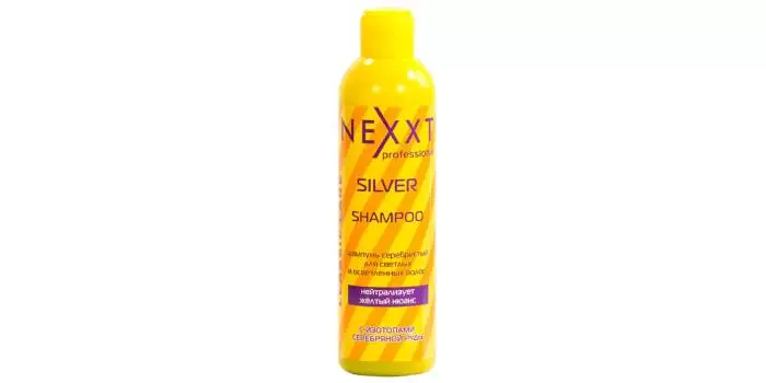 Nexxt Professionnel Argent