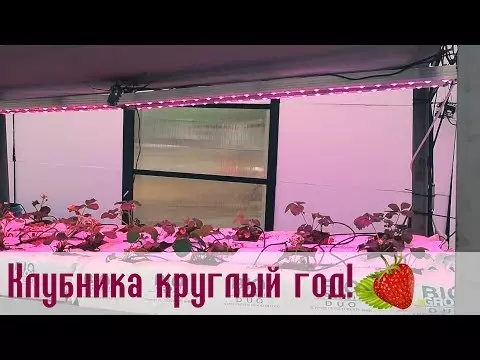 Наслов