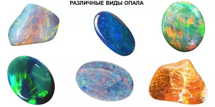 Opal အမျိုးပေါင်း