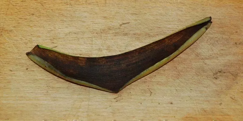 Buccia di banana essiccata