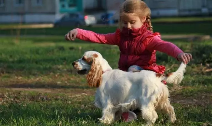 Budak awéwé maén sareng anjing