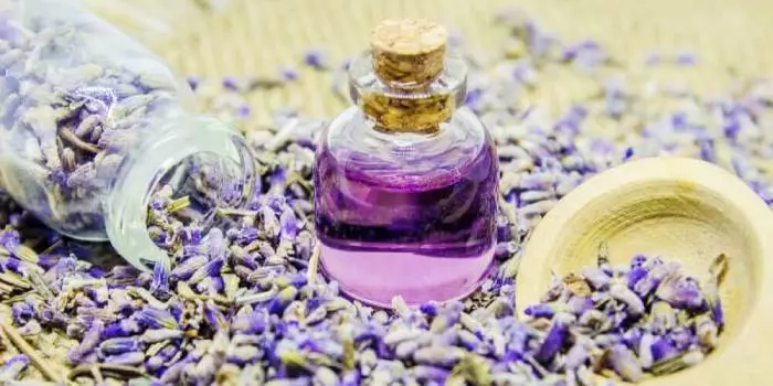 Rûnê Lavender