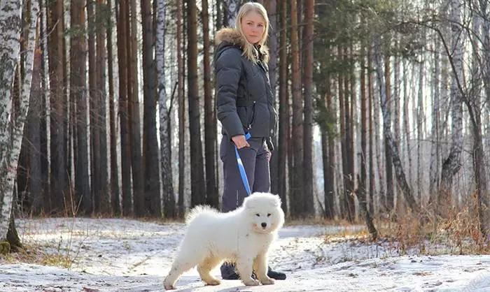 Момиче, което се разхожда с кученце
