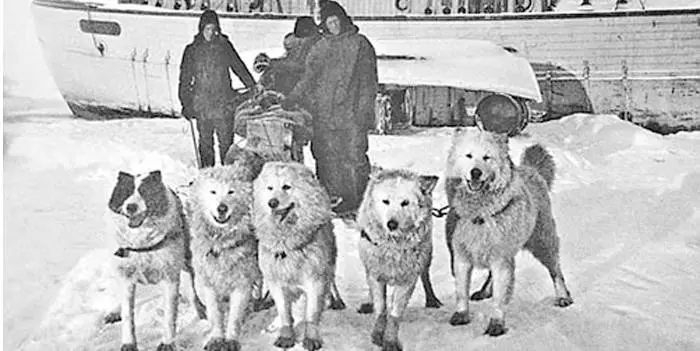 Amundsen ၏မြောက်ဝင်ရိုးစွန်းသို့လေ့လာရေးခရီး