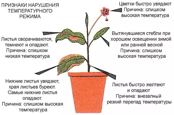 Znaki kršitve temperaturnega režima