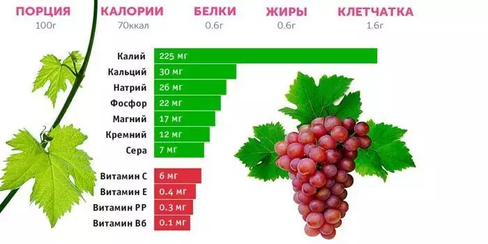 Složení červených hroznů