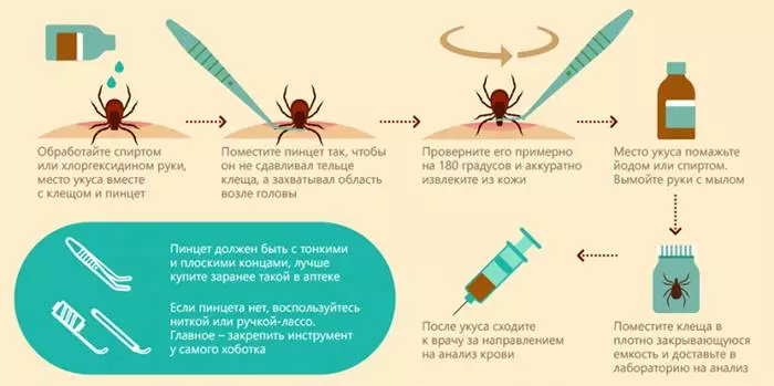 Хавчаараар хачигыг хэрхэн яаж арилгах вэ