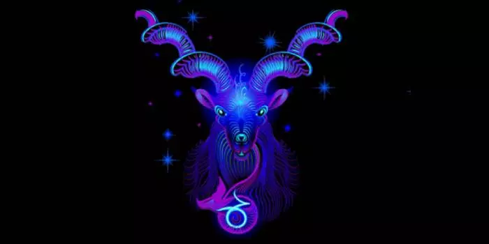 Capricorn