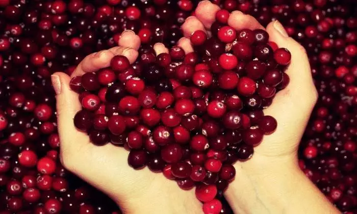 Lingonberries օգտակար է psoriasis