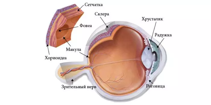 Umwobo wa Macular mu gishushanyo