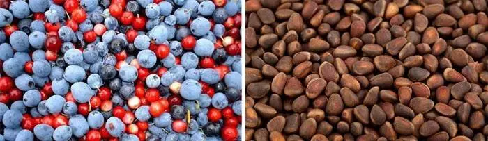 Mga berry na bumubuo sa fiber Vitamin glade