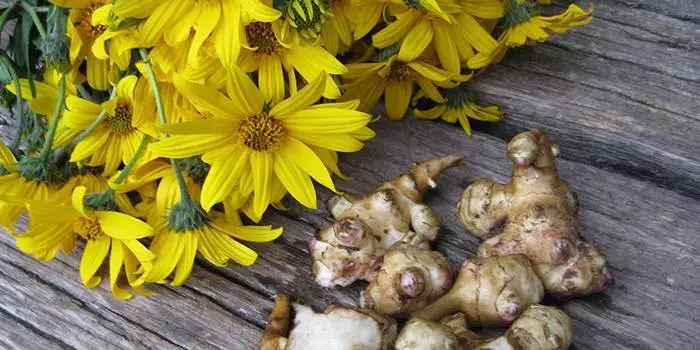 Jerusalem artichoke