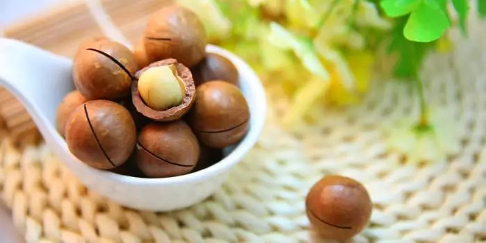 Kacang macadamia