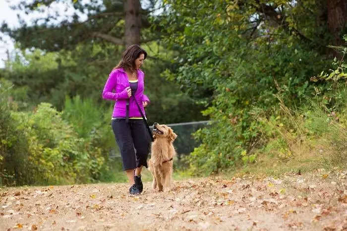 Per què és perillós caminar pels boscos i parcs? 9826_1