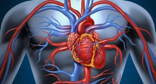 Nejasné příznaky srdečních chorob 9917_1